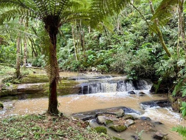 Chacara Á Venda Em Rio Branco do Sul
