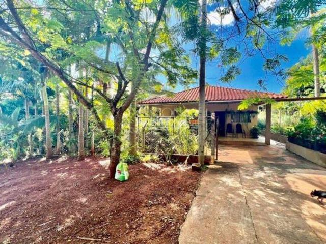 Chácara à Venda em Rural, Jataizinho PR