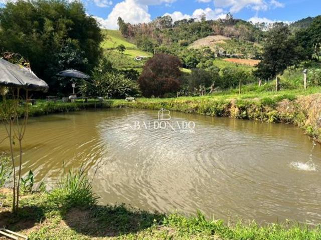 Chácara à Venda em Toledo MG 3.400 m troca por casa na cidade