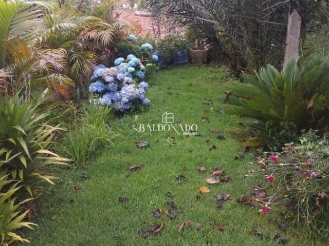 CHACARA À VENDA EM TOLEDO MG 5.500 m² há 2,5 KM do centro da cidade
