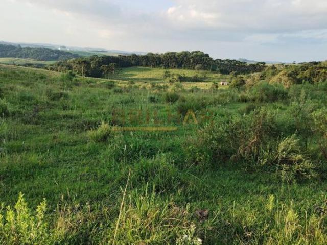 Chácara a venda em Vila Oliva