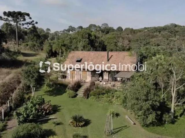 Chácara à venda, Limoeiro, Bairro Limoeiro Londrina, PR