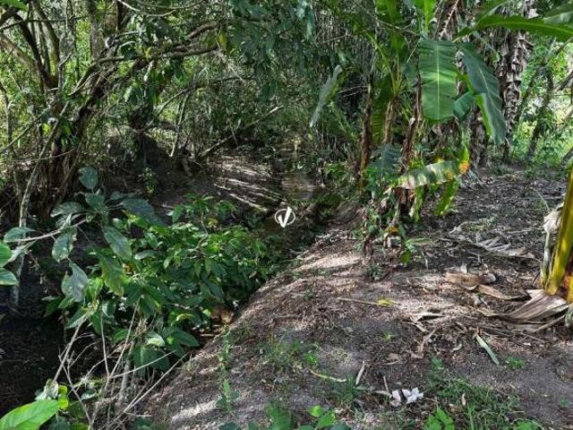 CHÁCARA À VENDA MORUMBI PINDAMONHANGABA SP