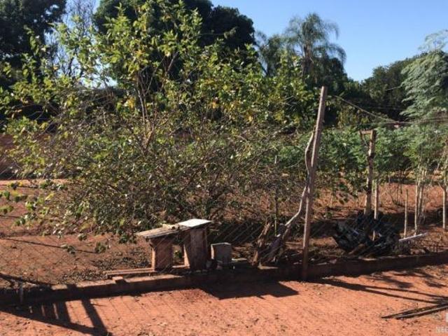 Chácara a venda no Conjunto Residencial São Benedito