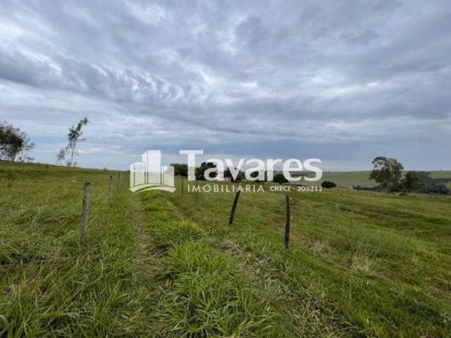 Chácara à venda no bairro Área Rural de Umuarama Umuarama/PR