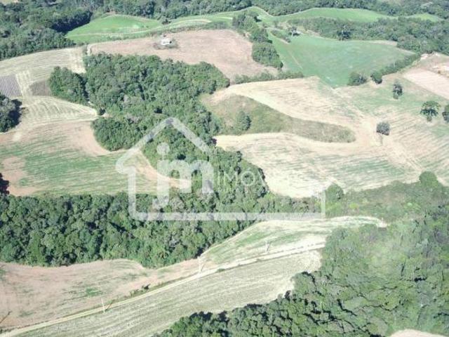 Chácara a venda no Bairro Colônia Cristina em Araucária/PR