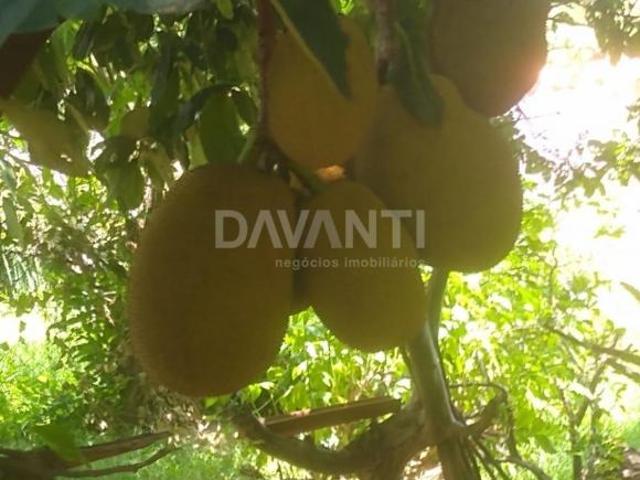 Chácara à venda no bairro Country Club em Valinhos na Davanti Imóveis