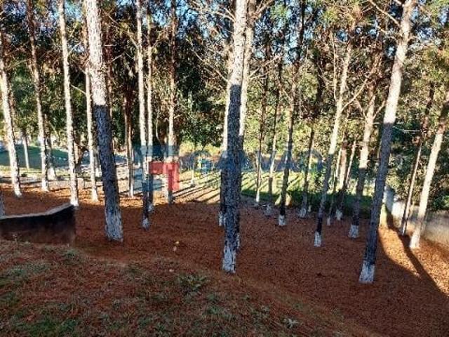 Chácara à venda no Bairro Pau Arcado em Campo Limpo Paulista SP