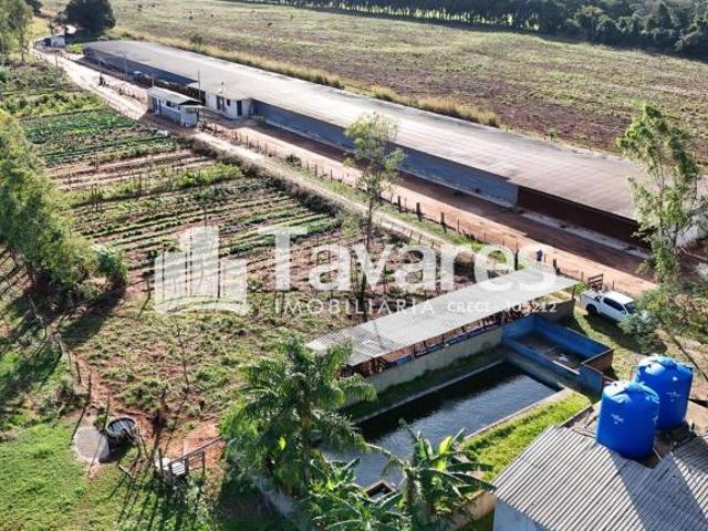 Chácara à venda no bairro Santa Eliza Umuarama/PR