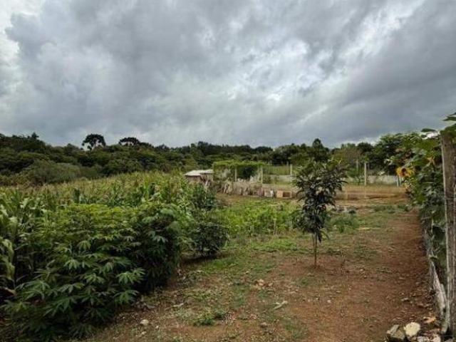 Chacara á venda no bairro Santo Amaro Mandirituba PR