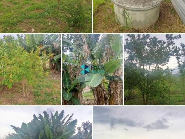 Chácara à venda no bairro Tijuco Preto Caçapava/SP