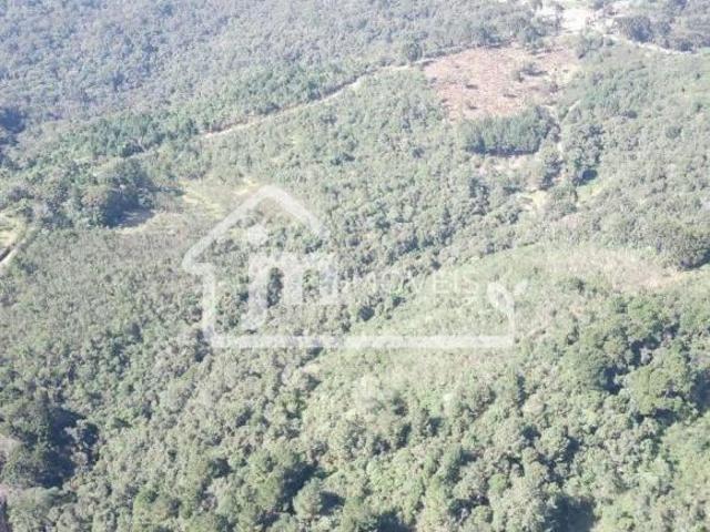 Chácara à venda no Bairro Três Córregos em Campo Largo/PR