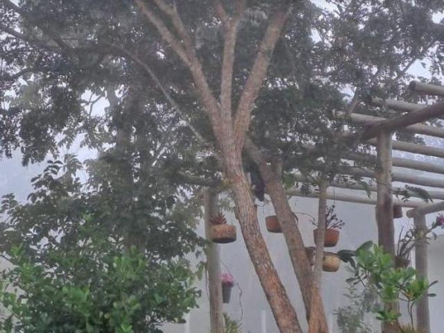Chácara à venda no bairro Zona Rural Indianópolis/MG