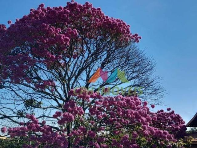 Chácara à venda no Jardim dos Laranjais Indaiatuba, SP | CH0056