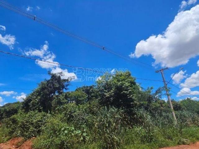 Chacara a venda no Jardim Zavanella, Araraquara Oasis de tranquilidade!