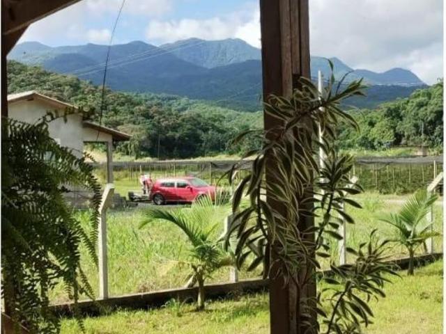 CHÁCARA A VENDA NO RIO SAGRADO/MORRETES POR R$215