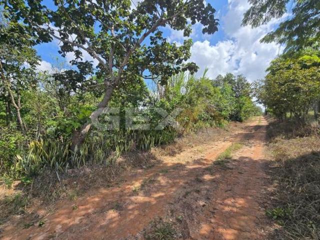 Chácara à venda na comunidade Cacoco com 16.163,92 m²