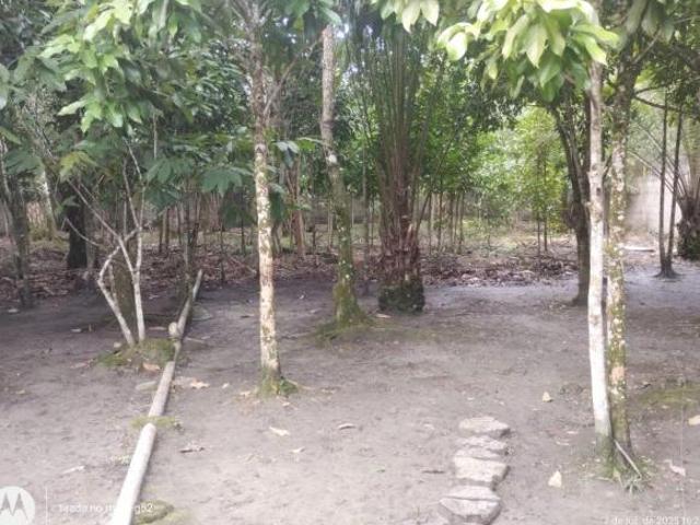 CHÁCARA A VENDA NA PRAIA EM ITANHAÉM/SP
