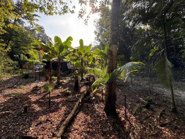 CHÁCARA A VENDA NA PRAIA EM ITANHAÉM/SP