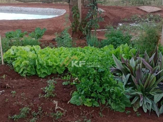 Chácara à venda Santa Cruz da Esperança SP