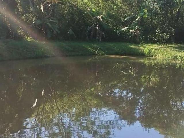 CHÁCARA Á VENDA SAPITANDUVA POR R$ 350 Mil!
