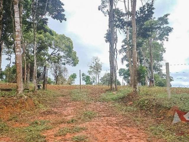 Chácara a Venda sem benfeitorias