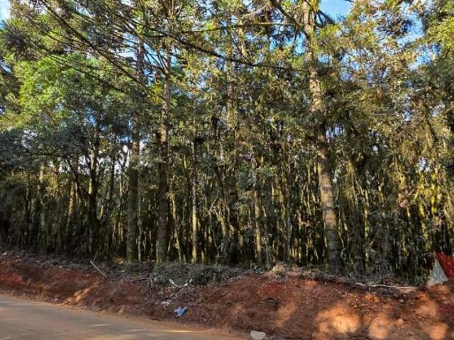 Chácara a Venda sem benfeitorias