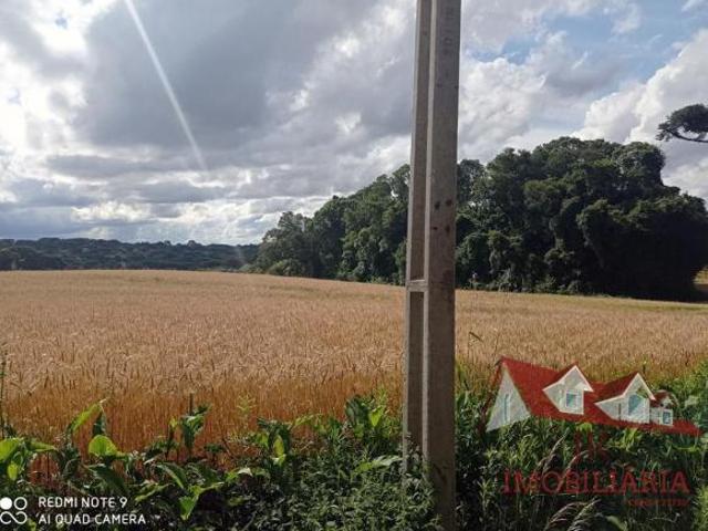 Chácara a Venda sem benfeitorias