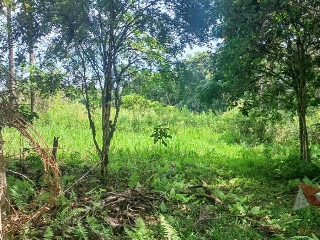 Chácara à Venda sem benfeitorias em São José dos Pinhais