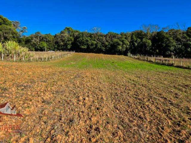 Chácara à Venda sem benfeitorias em São José dos Pinhais