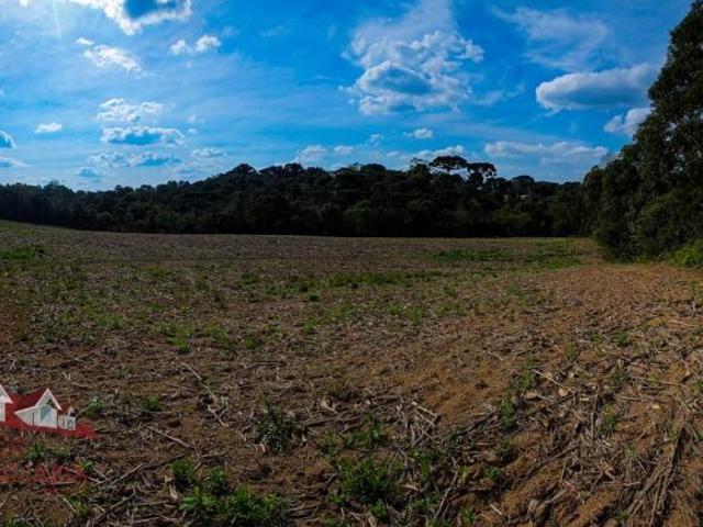 Chácara à Venda sem benfeitorias em São José dos Pinhais