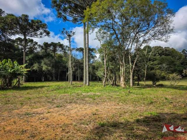 Chácara à Venda sem benfeitorias em São José dos Pinhais