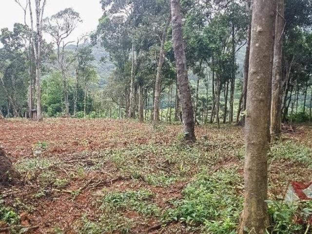 Chácara à Venda sem benfeitorias em São José dos Pinhais