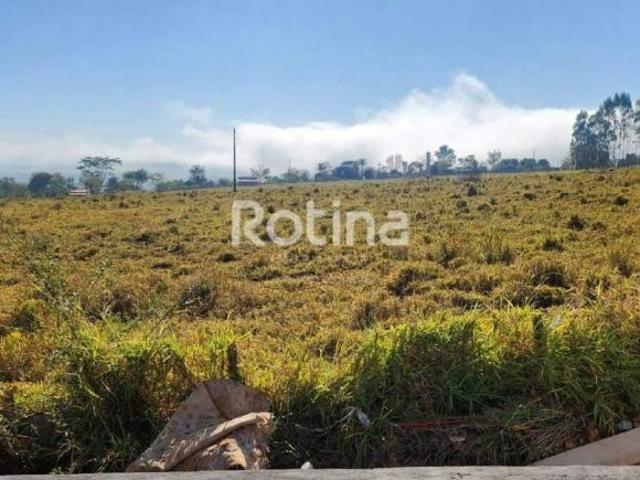 Chacara à venda, Represa de Miranda Uberlândia/MG Rotina Imobiliária