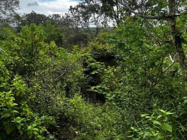 CHÁCARA À VENDA – RUA 17 | ALTIPLANO LESTE