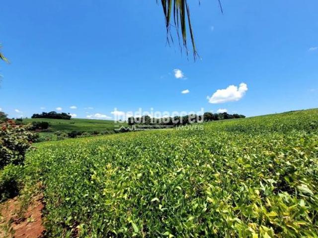 Chácara à venda Warta, Londrina PR