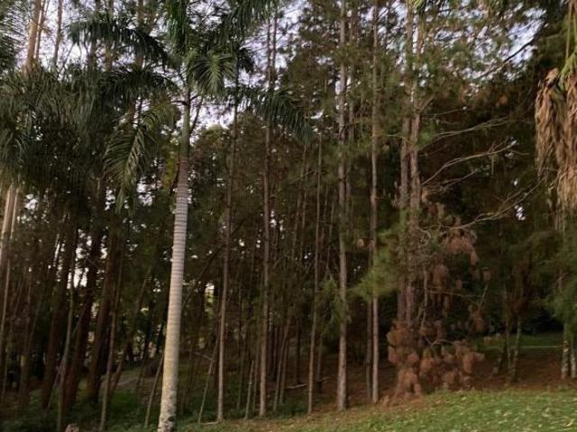 Chácara à venda, Terras de Santa Maria II, Itu, SP