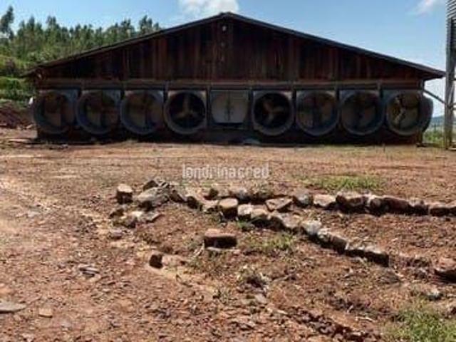 Chácara à venda Zona Rural, Tamarana PR