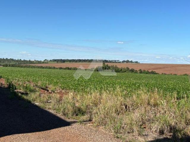 Chácara à venda, Zona Rural, TOLEDO PR