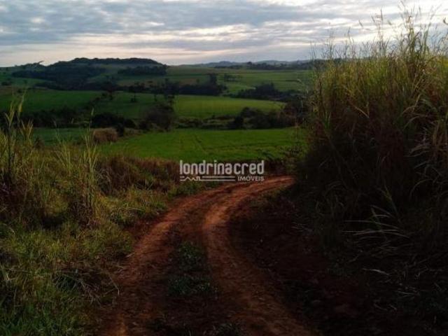 Chácara à venda Zona Rural, Guaravera PR