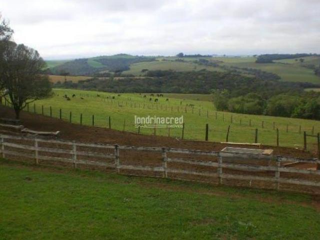 Chácara à venda Zona Rural, Ponta Grossa PR
