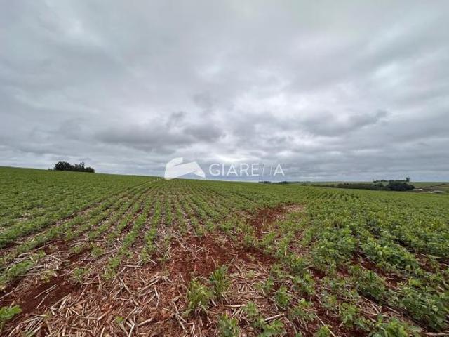 Chácara ampla à venda em XAXIM, ZONA RURAL, TOLEDO PR