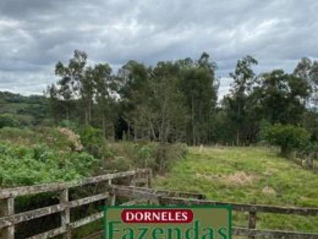 Chacara, Área Rural, Santiago, RS