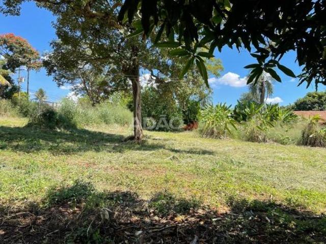CHÁCARA BAIRRO CARDOSO APARECIDA DE GOIÂNIA Chácara à Venda, 4880.00 por R$ 1200000.00 VN24838