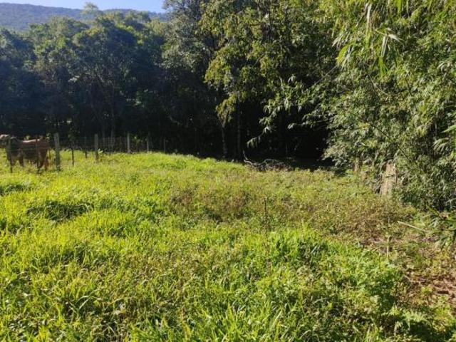 Chácara Bairro Chimarrão