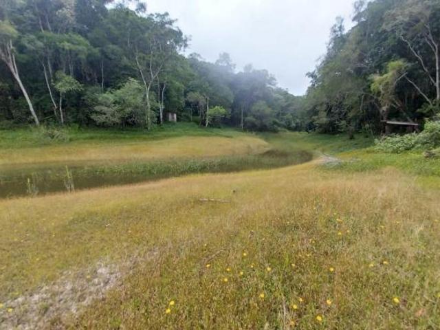 CHÁCARA BEIRA DA REPRESA CACHOEIRA DO FRANÇA COD 5934 F: 11 97302 9229 CESAR
