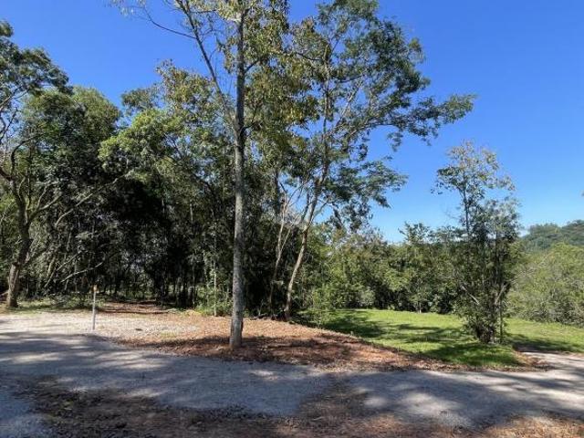 CHÁCARA BOSQUES DE PINHERAL