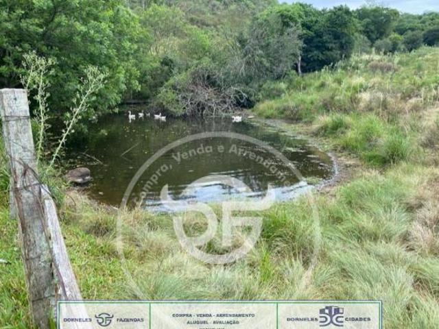 Chacara, Br 287, Santiago, RS