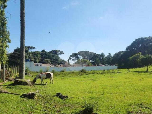 Chácara Campina do Miringuava São José dos Pinhais/PR 3 Dormitórios 2 Suítes 8 Vagas Alto Padrão