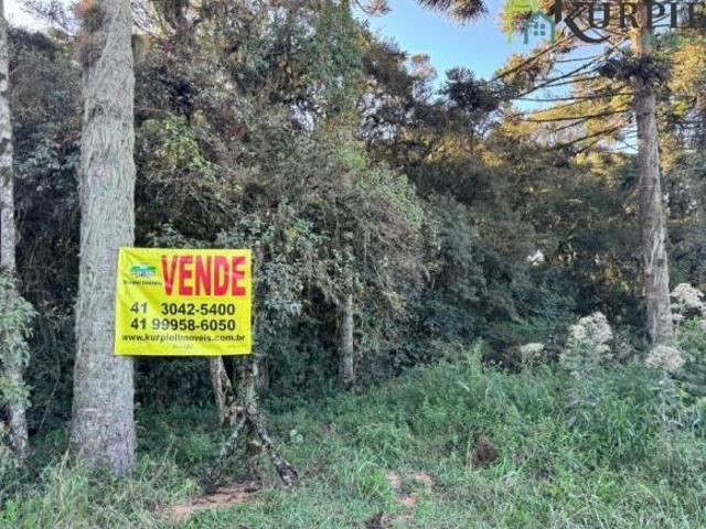 Chacara, Campina do Taquaral, São José dos Pinhais, PR